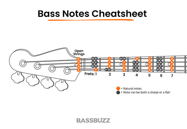7 Days to Learning Bass